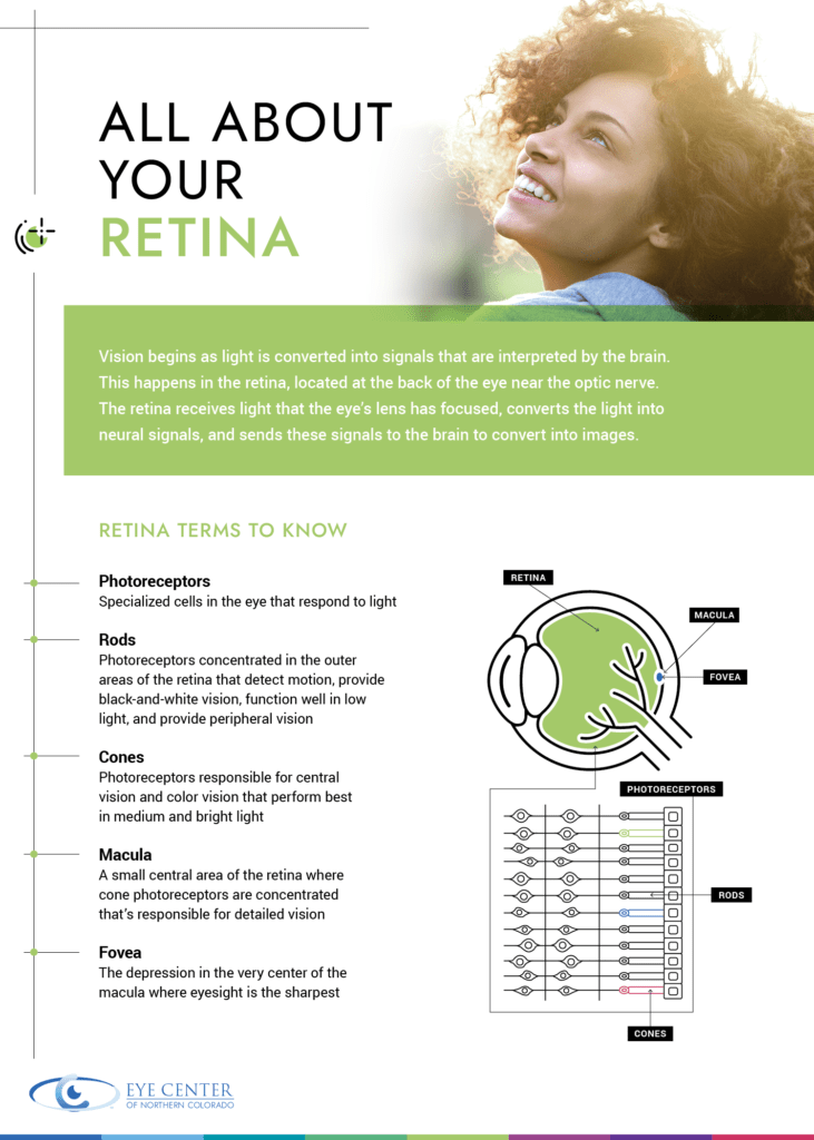 Go through the blog to learn All About Your Retina