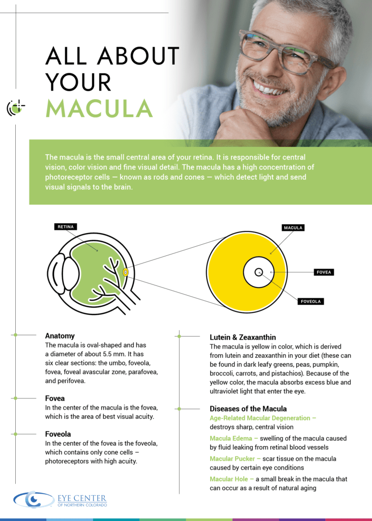 Read the blog to learn All About Your Macula